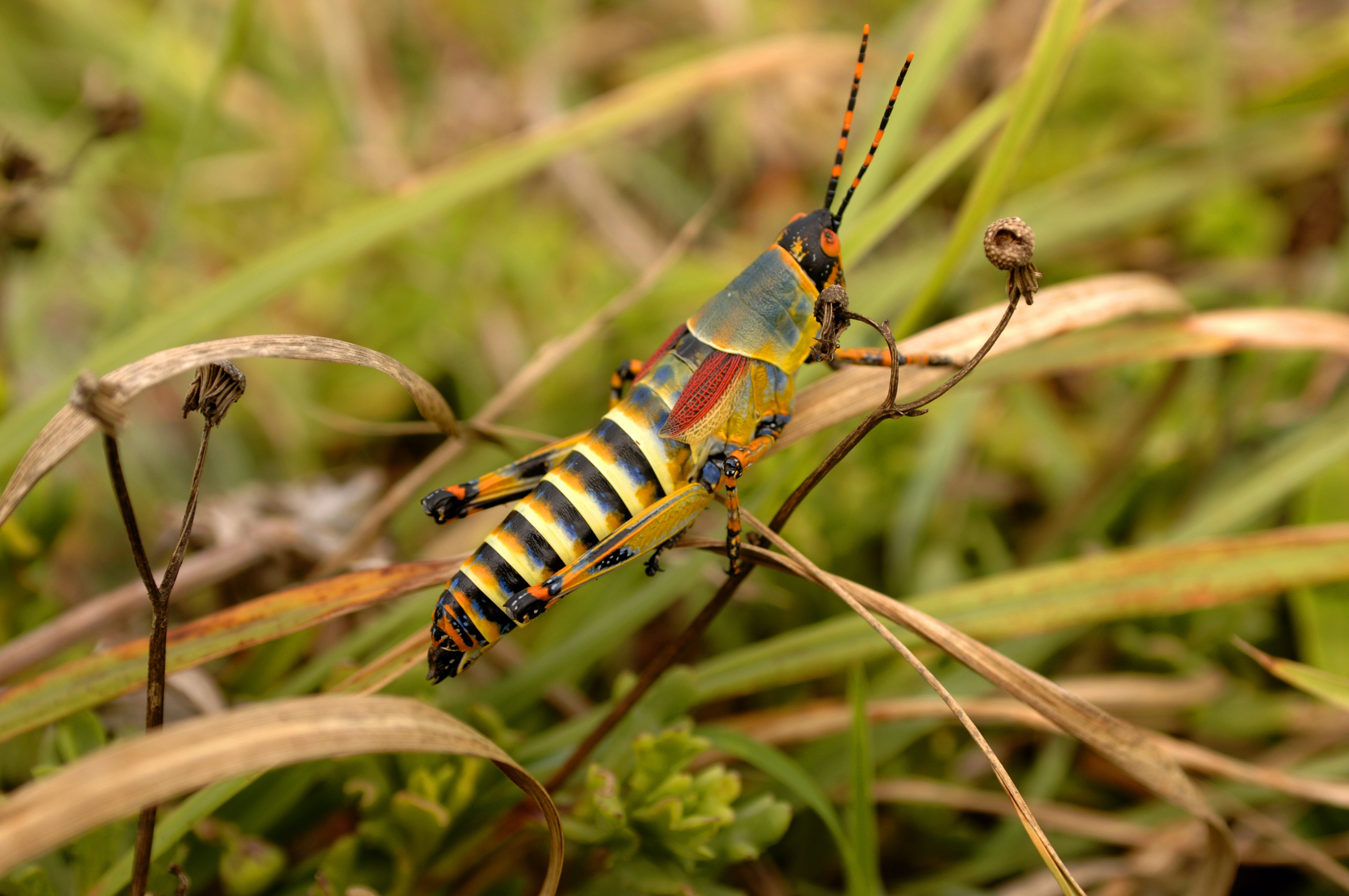 The Nine-Million Club | Steven Shepard